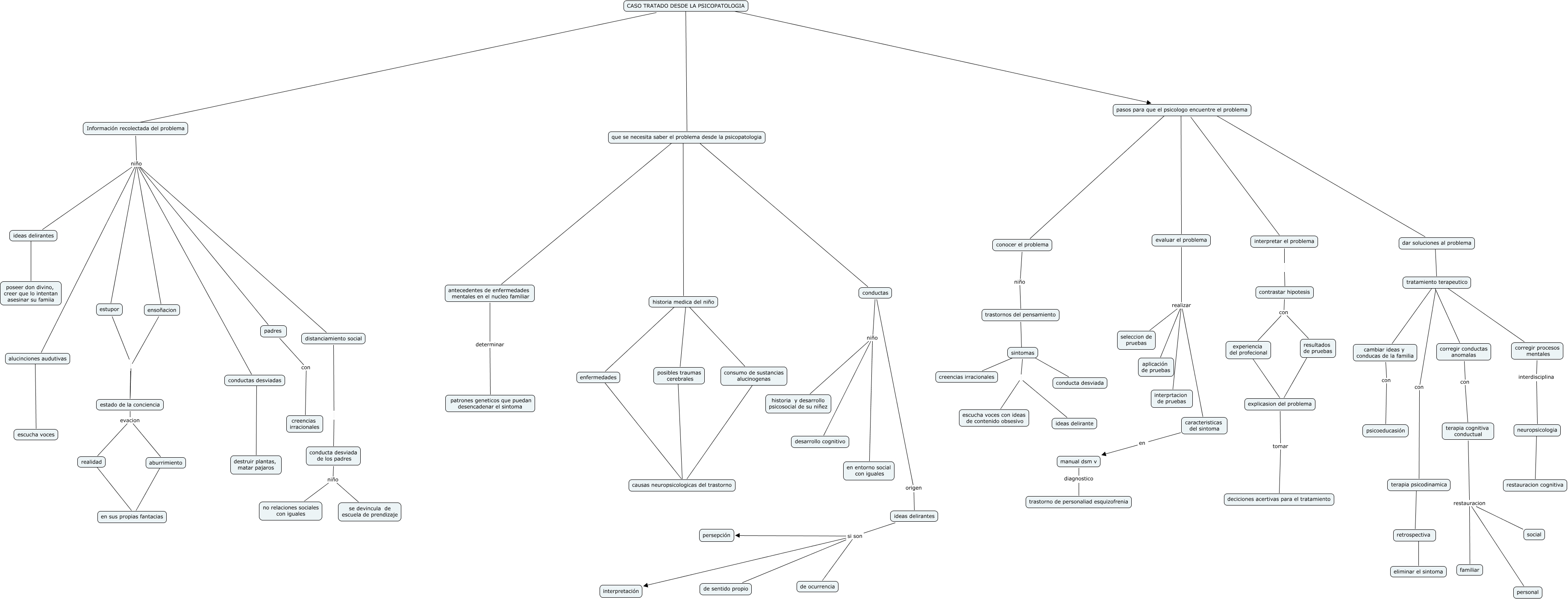 caso tratado desde la psicopatologia - cual es el problema?